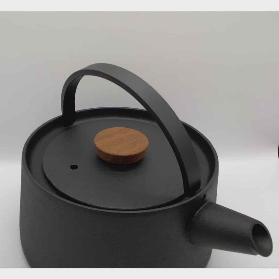 TESTUBIN Japanese kettle cast iron tea kettle & pot – Myfav Japan Shop ...